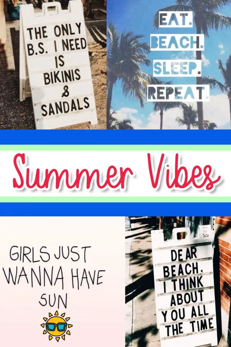 9 Summer Vibes Quotes and Memes That Give Us ALL The Summer Vibes Feels ...
