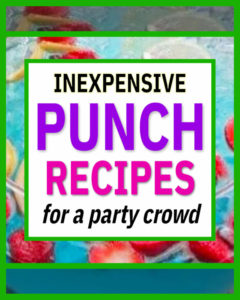 Inexpensive Punch Recipes - 11 Simple Party Drink Ideas For a Crowd