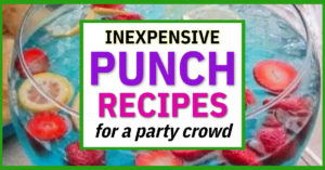 Inexpensive Punch Recipes - 11 Simple Party Drink Ideas For a Crowd