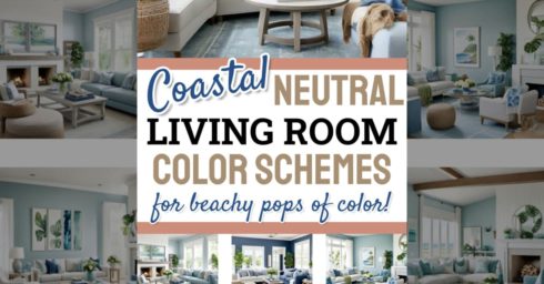 Coastal Neutral Living Room Color Ideas (with beachy pops of seaside ...