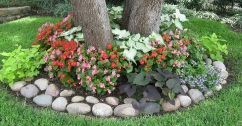Inexpensive Garden Edging And DIY Borders For Around Trees In Your Yard