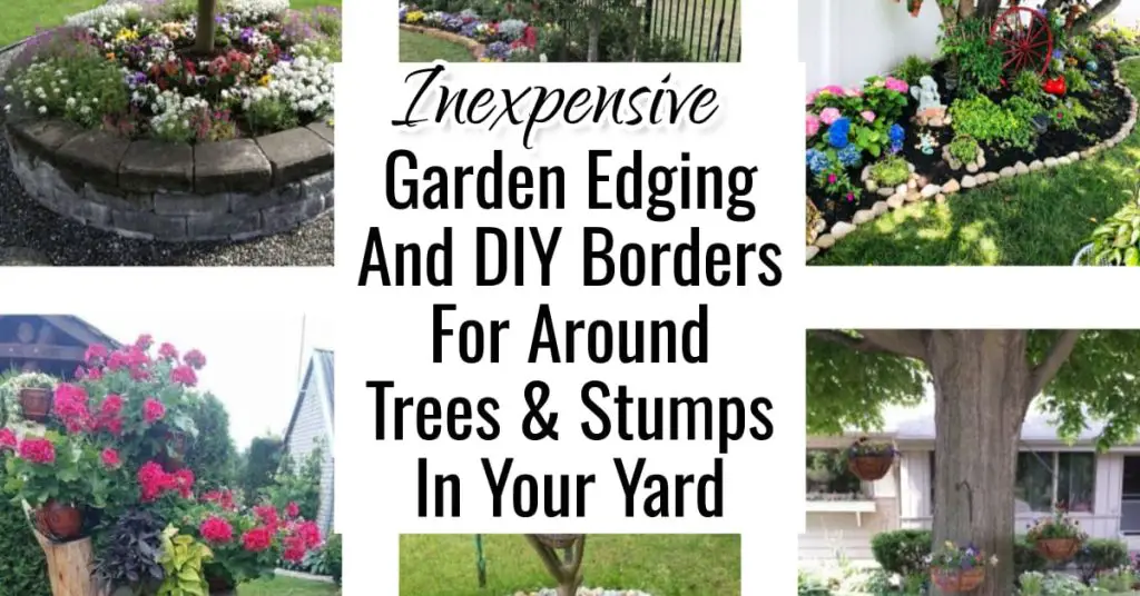 Inexpensive Garden Edging And DIY Borders For Around Trees In Your Yard